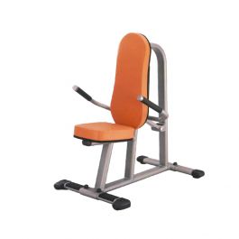 Revolutionize Your Workout with Body Solid Steelflex Dip Machine ...