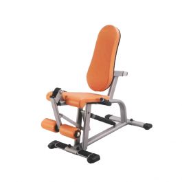 Elevate Leg Workouts with Body Solid Steelflex Leg Extension & Curl ...